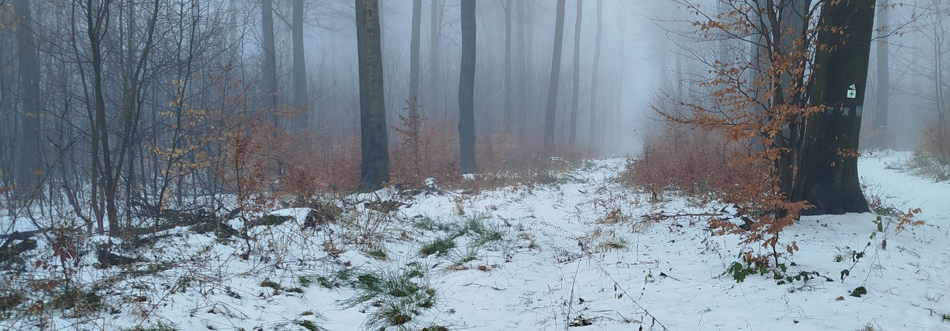 Természettudomány – ELTE Trefort Ágoston Gyakorló Gimnázium